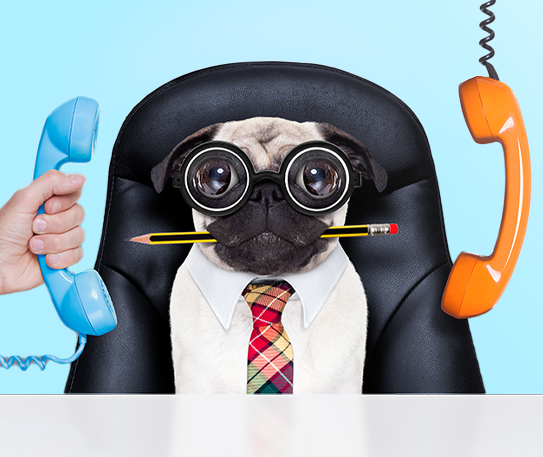 Autoritair, visionair ... Wat voor manager ben jij? - Openspace